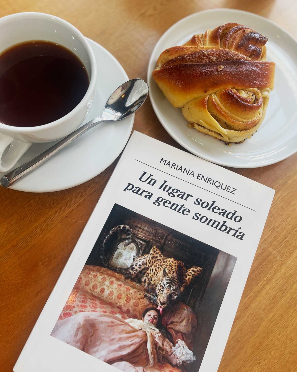 Un lugar soleado para gente sombría de Mariana Enriquez – The Reading Room